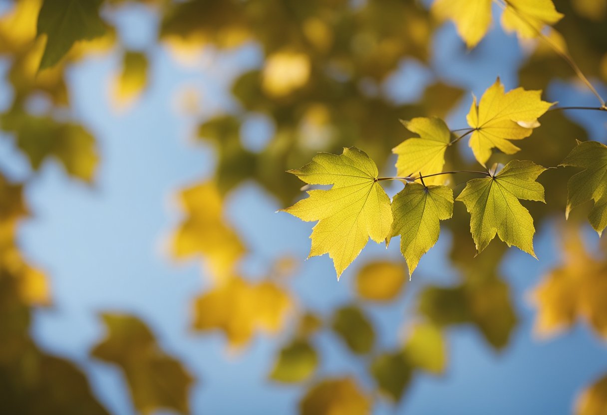 Spiritual Meaning of Leaf Falling on You: Exploring the Symbolism ...